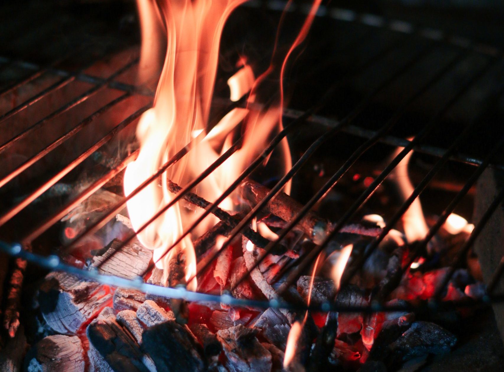 Picknick och grilla i Hågelbyparken